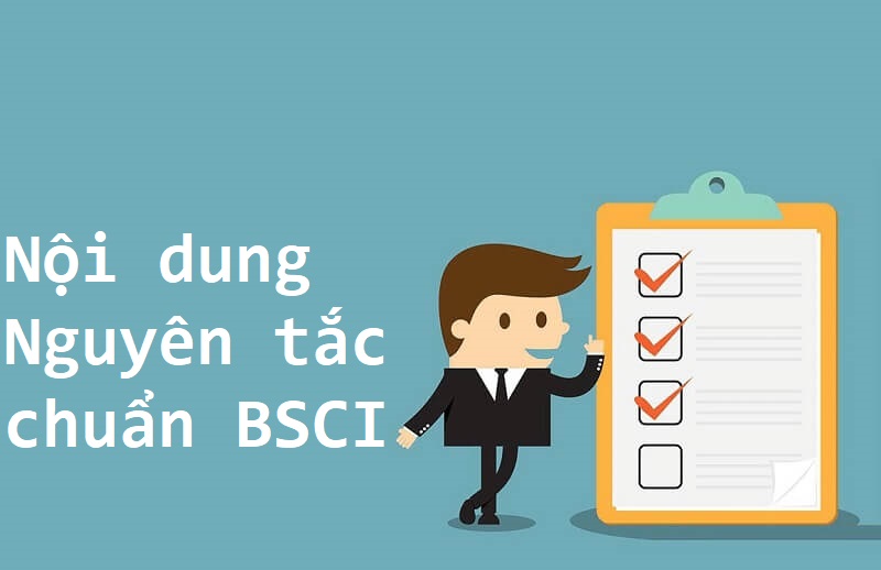 Tiêu chuẩn bsci là gì? Nội dung, nguyên tắc triển khai BSCI