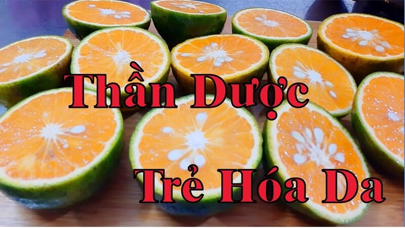 Cam mật là gì? Cam mật đối với sức khỏe tốt thế nào?