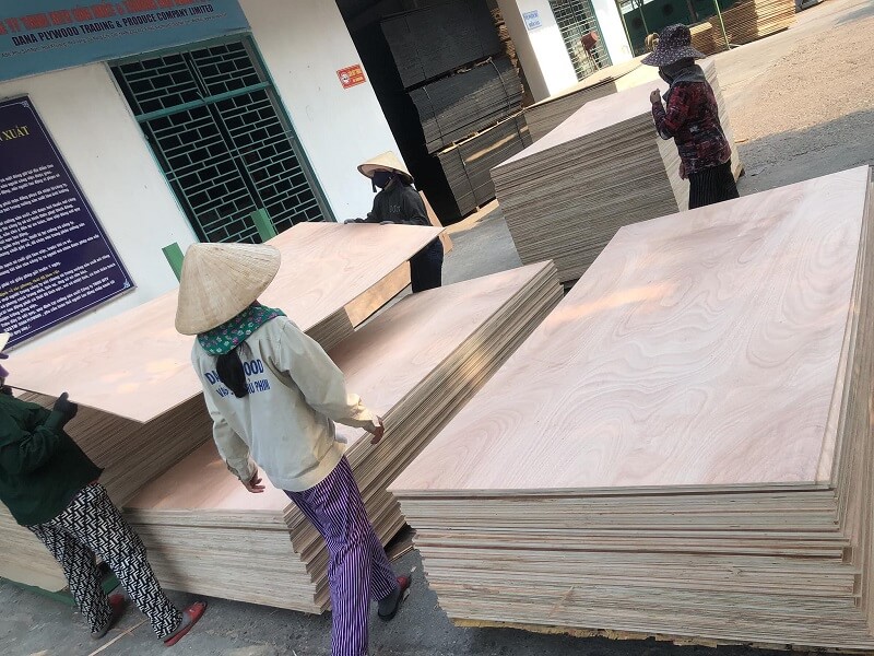 Ván Plywood là gì và ưu - nhược điểm của ván Plywood