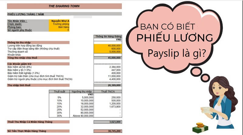 Payslip là gì? Vai trò của Payslip được thể hiện rao sao?