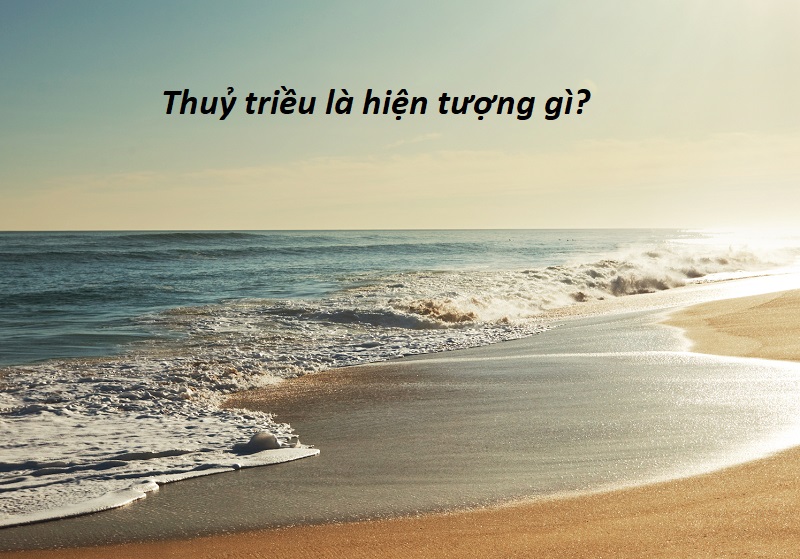 Thủy triều là hiện tượng gì và nguyên nhân do đâu?