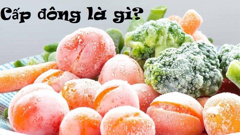 Cấp đông là gì? Tổng hợp những điều bạn cần biết về cấp đông