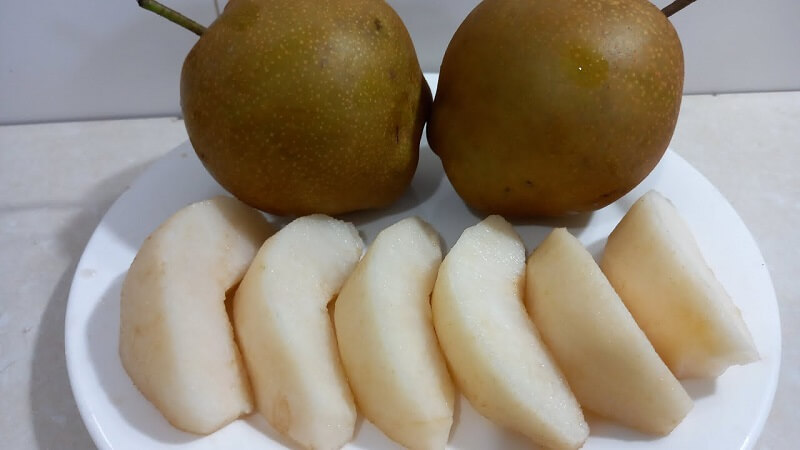 Mắc cọp là quả gì? Tìm hiểu về công dụng của quả mắc cọp