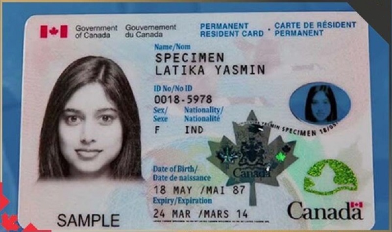 Thẻ xanh Canada là gì? Có gì ở tấm thẻ quyền lực này?
