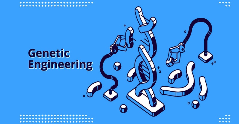 Tìm hiểu thông tin chi tiết về Genetic Engineering là gì?