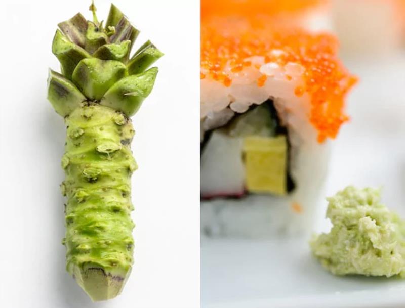 Wasabi là gì? Hướng dẫn phân biệt Wasabi thật giả đúng cách