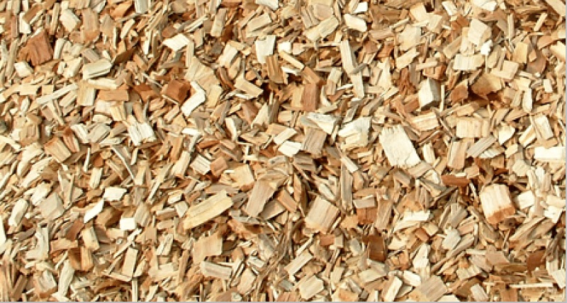 Wood chip là gì? Tìm hiểu ứng dụng thực tế của wood chip